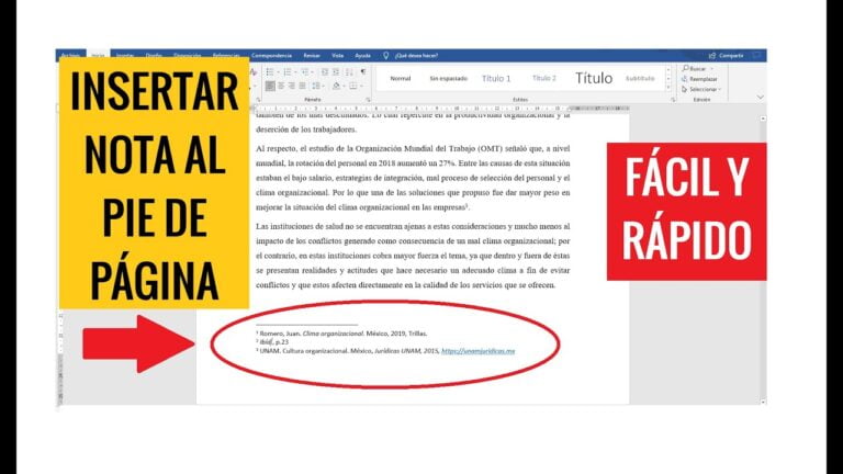 ¿Cómo se insertan las notas al pie de página en Word?