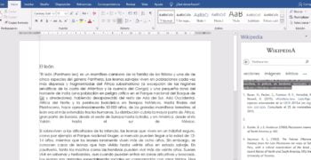 ¿Qué es Microsoft Word?