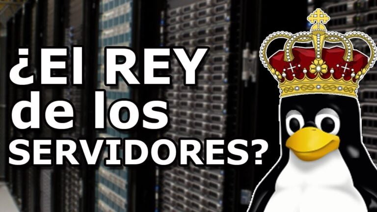 ¿Por qué los servidores son Linux?
