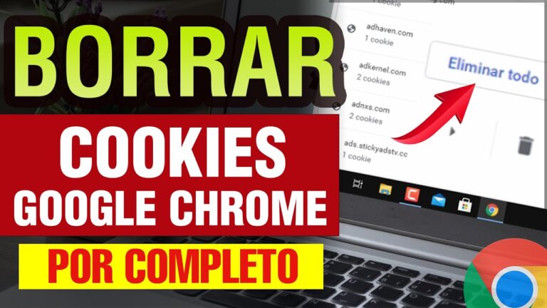 Unde sunt amplasate cookie-urile în Google Chrome?