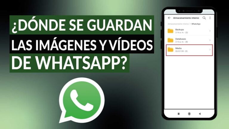 Where are the WhatsApp files?