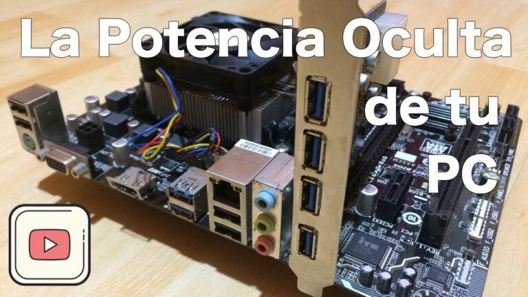 ¿Que se puede conectar en un puerto PCI Express?