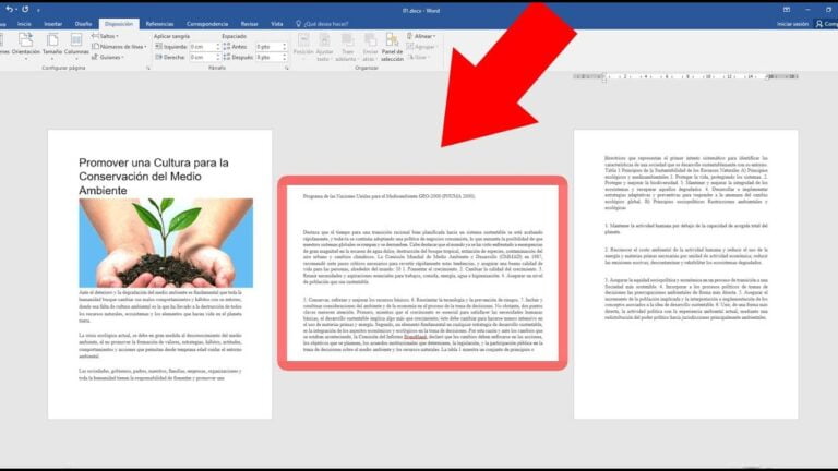 ¿Cómo poner una sola hoja Horizontal en un documento de Word?