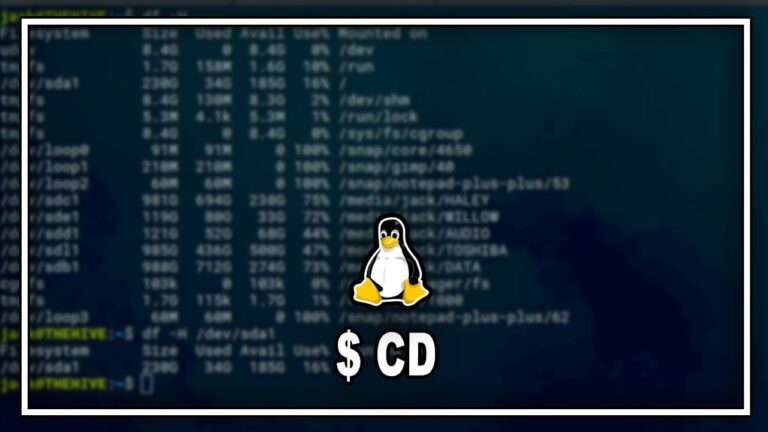 ¿Cómo se usa la terminal de Linux?