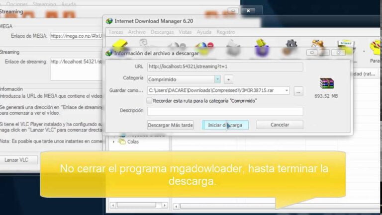How to download files from Internet Download Manager?