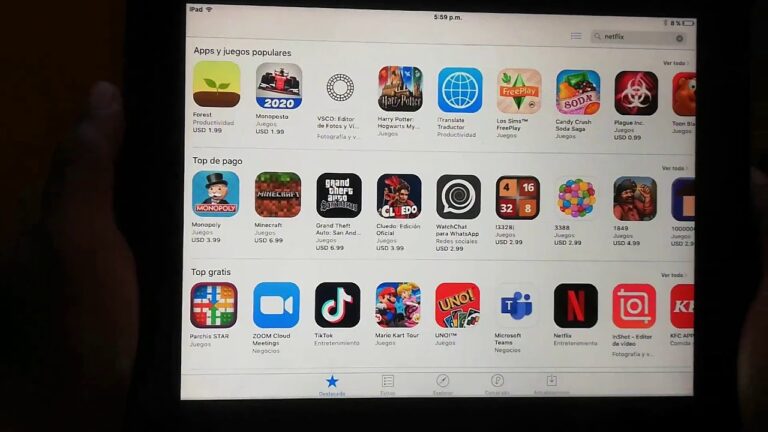 Which iPad supports Netflix?