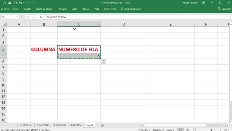 ¿Cuál es la función de la fila en Excel?