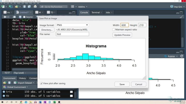 Hvordan gemmer man en graf i R?