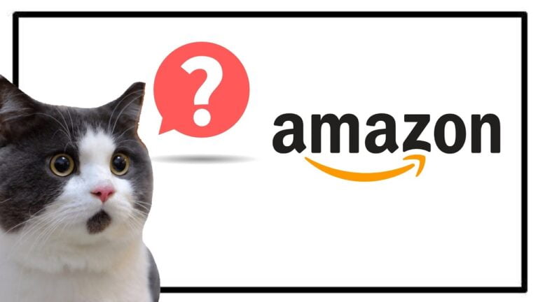 Apa itu Amazon dan apa fungsinya?