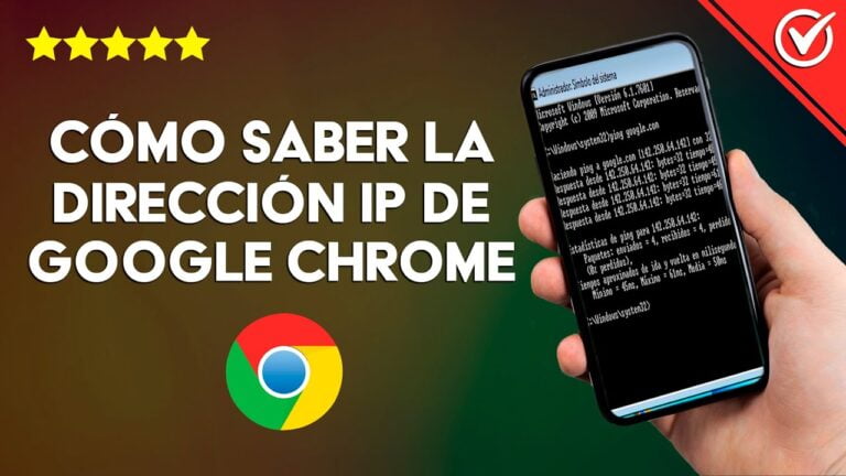 What is the google IP to ping?