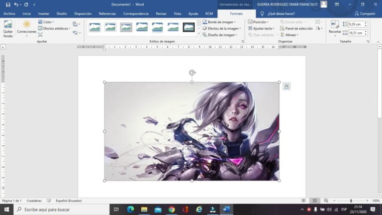 ¿Cuál es la función de insertar en Word?